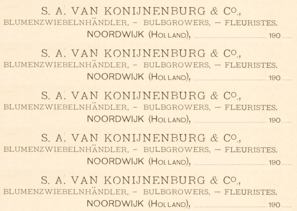 Blog10395: Briefhoofd – BLOGnoordwijk